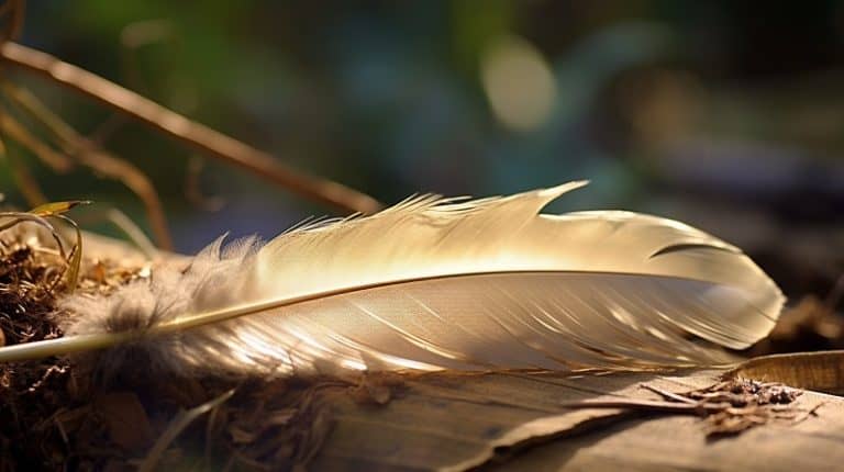 The Mourning Doves Powerful Spiritual Meaning & Symbolism