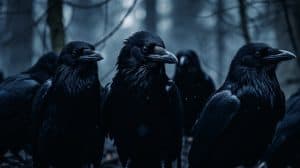 Crows Gathering In Large Numbers - Top 5 Spiritual Meanings